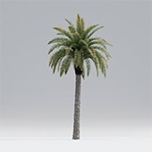 ForestPack Инструмент распространения объектов для 3d Max | ITOOSOFT