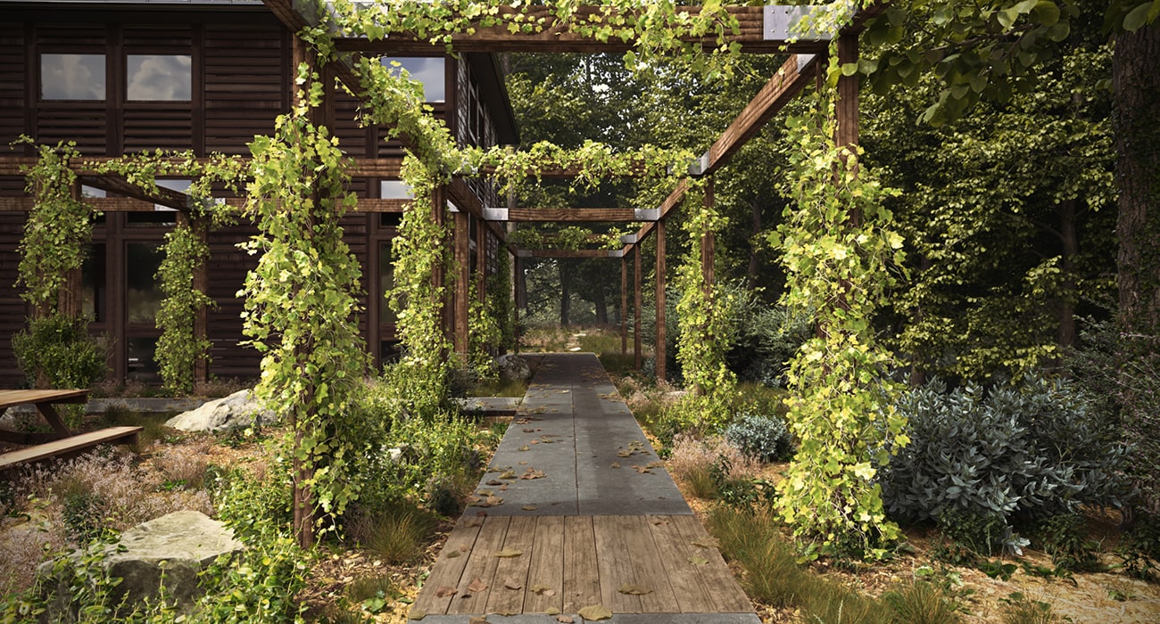 ForestPack Инструмент распространения объектов для 3d Max | ITOOSOFT