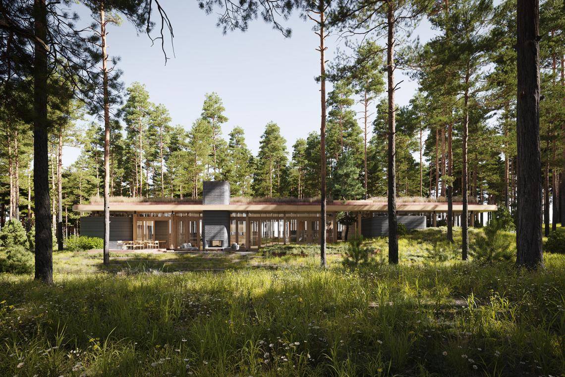 Gallery - The Black Forest House by Bobak Studio