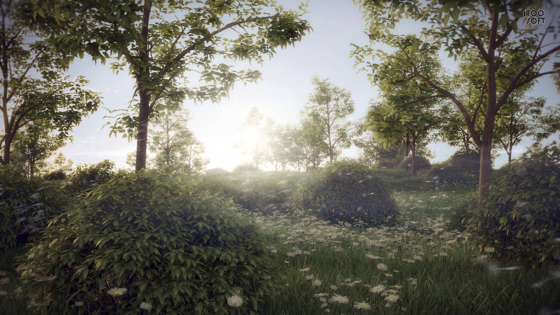 Gallery - Forest Test by We Render