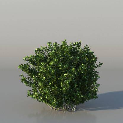 Purchase the Bushes and Flowers Volume 1 The3dGarden 3d asset library ...