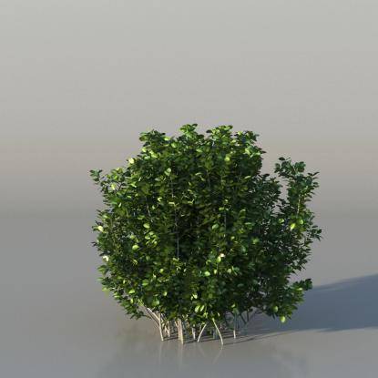Purchase the Bushes and Flowers Volume 1 3DGarden 3d asset library ...