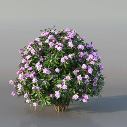 Purchase the Bushes and Flowers Volume 1 The3dGarden 3d asset library ...