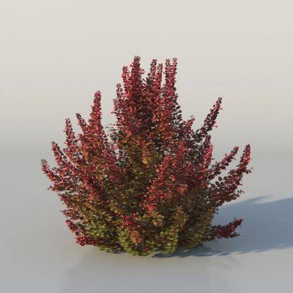 Purchase the Bushes and Flowers Volume 1 3DGarden 3d asset library ...