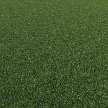 Purchase the Bushes and Flowers Volume 1 The3dGarden 3d asset library ...