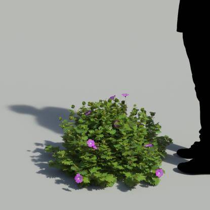 Purchase the Bushes and Flowers Volume 3 The3dGarden 3d asset library ...
