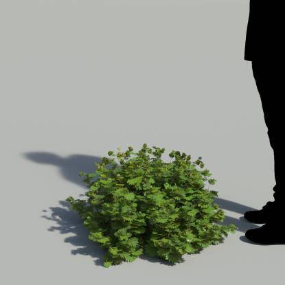 Purchase the Bushes and Flowers Volume 3 The3dGarden 3d asset library ...