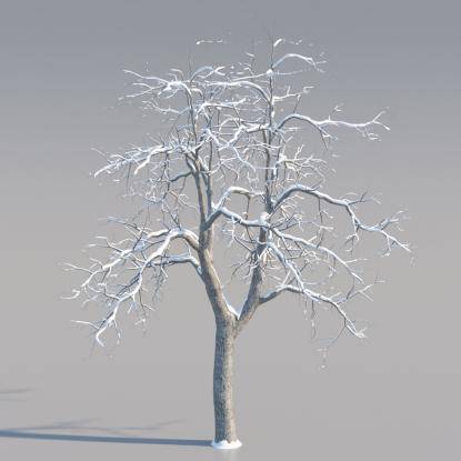 Purchase the Winter Collection Volume 1 3DGarden 3d asset library ...
