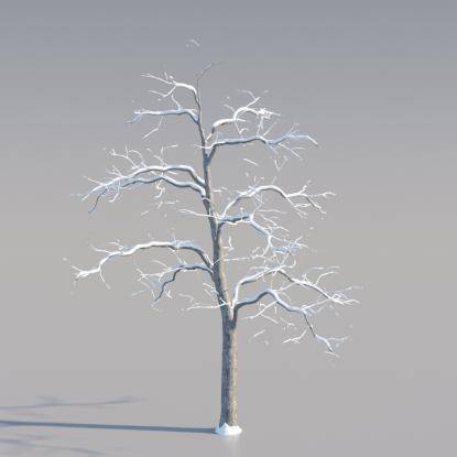 Purchase the Winter Collection Volume 1 3DGarden 3d asset library ...