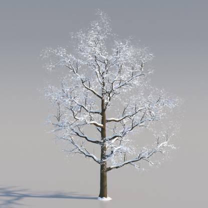 Purchase the Winter Collection Volume 1 3DGarden 3d asset library ...