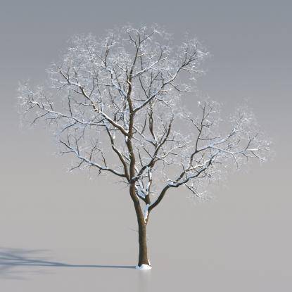 Purchase the Winter Collection Volume 1 3DGarden 3d asset library ...