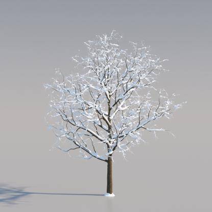 Purchase the Winter Collection Volume 1 3DGarden 3d asset library ...