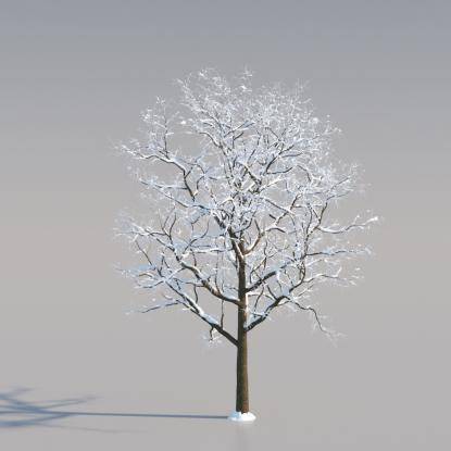 Purchase the Winter Collection Volume 1 3DGarden 3d asset library ...