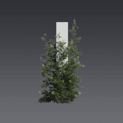 Purchase the Hanging Plants Volume 1 3DGarden 3d asset library ...