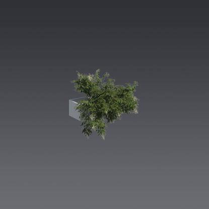 Purchase the Hanging Plants Volume 1 3DGarden 3d asset library ...