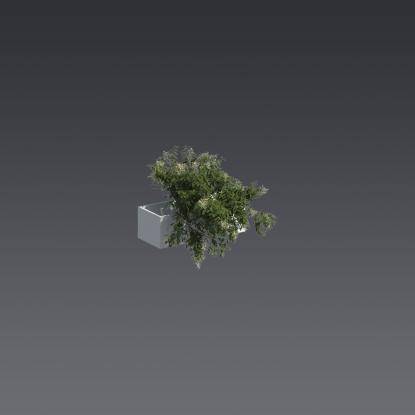 Purchase the Hanging Plants Volume 1 3DGarden 3d asset library ...