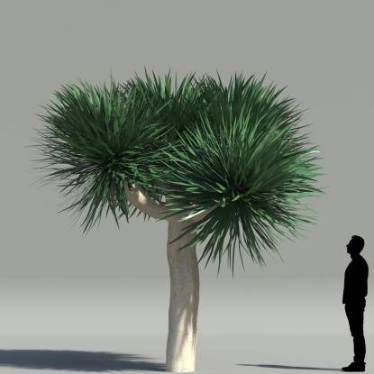 Purchase the Exotic and Palm Trees Volume 1 The3dGarden 3d asset ...