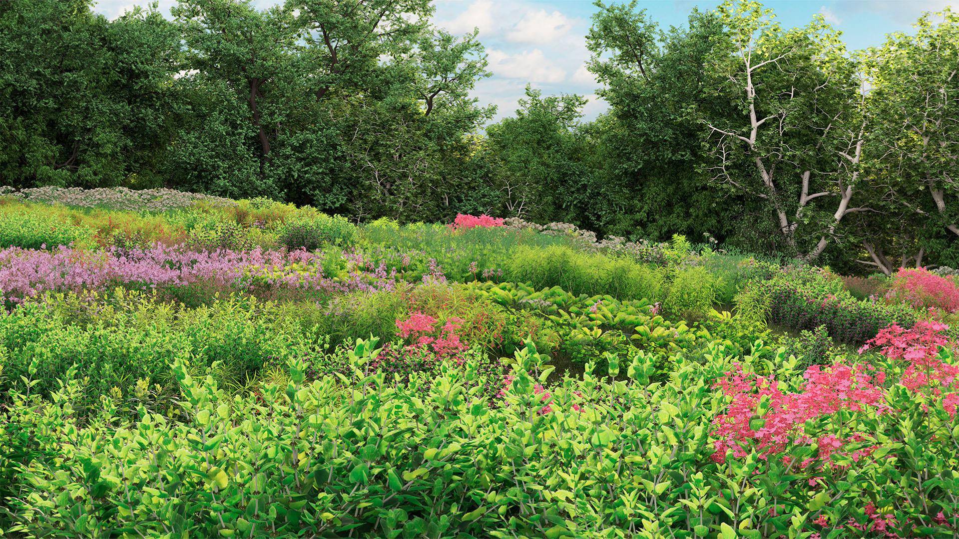 Compra el paquete 3DGarden Completo compatible con ForestPack y RailClone para 3ds Max