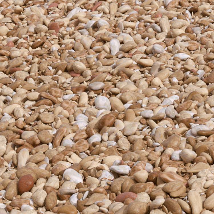 Golden Gravel Smooth - Detail - Forest Pack library for 3ds Max