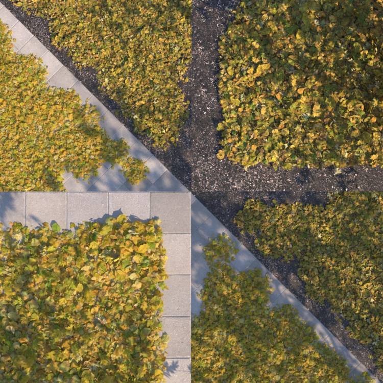 GC-3y - Forest Pack library for 3ds Max