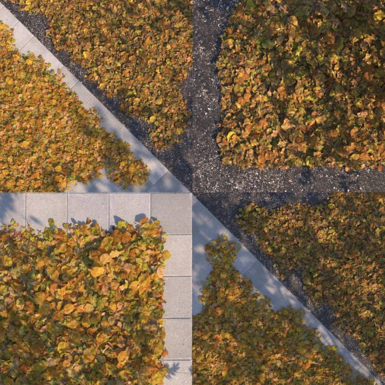 GC-5o - Forest Pack library for 3ds Max