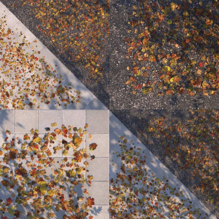 GD-6or - Forest Pack library for 3ds Max