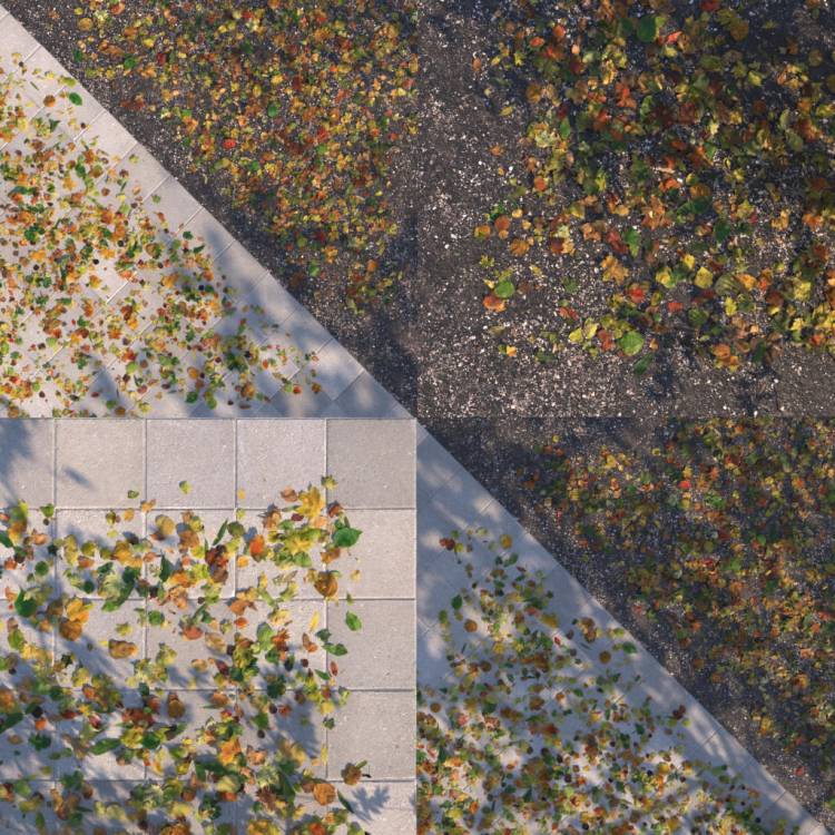 GD-8m - Forest Pack library for 3ds Max