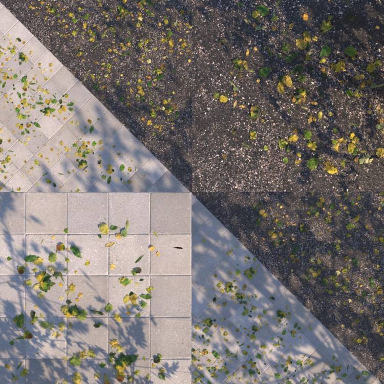 GS-2gy - Forest Pack library for 3ds Max