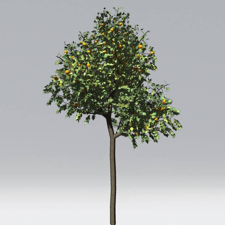 Orange - Forest Pack library for 3ds Max