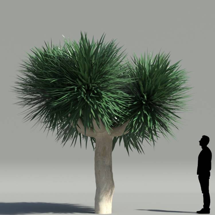 Dragon tree V2 - The3dGarden Library for 3ds Max