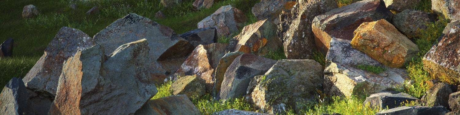 Case Studies - Creating Environments with Megascans