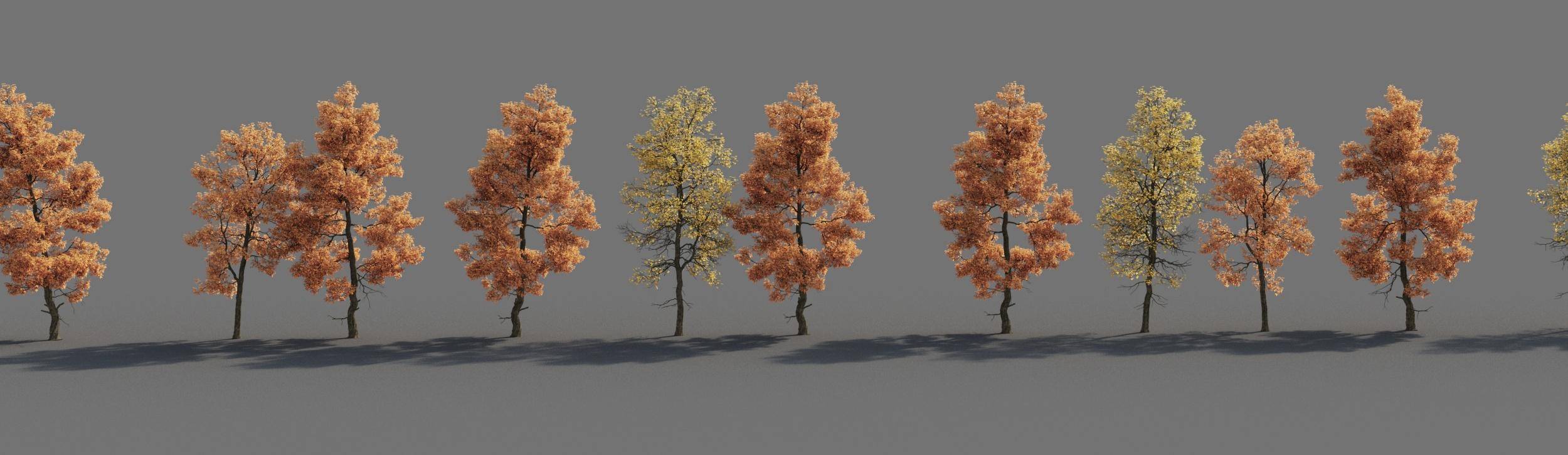 News - Forest Pack 8: The Ultimate Scattering Tool