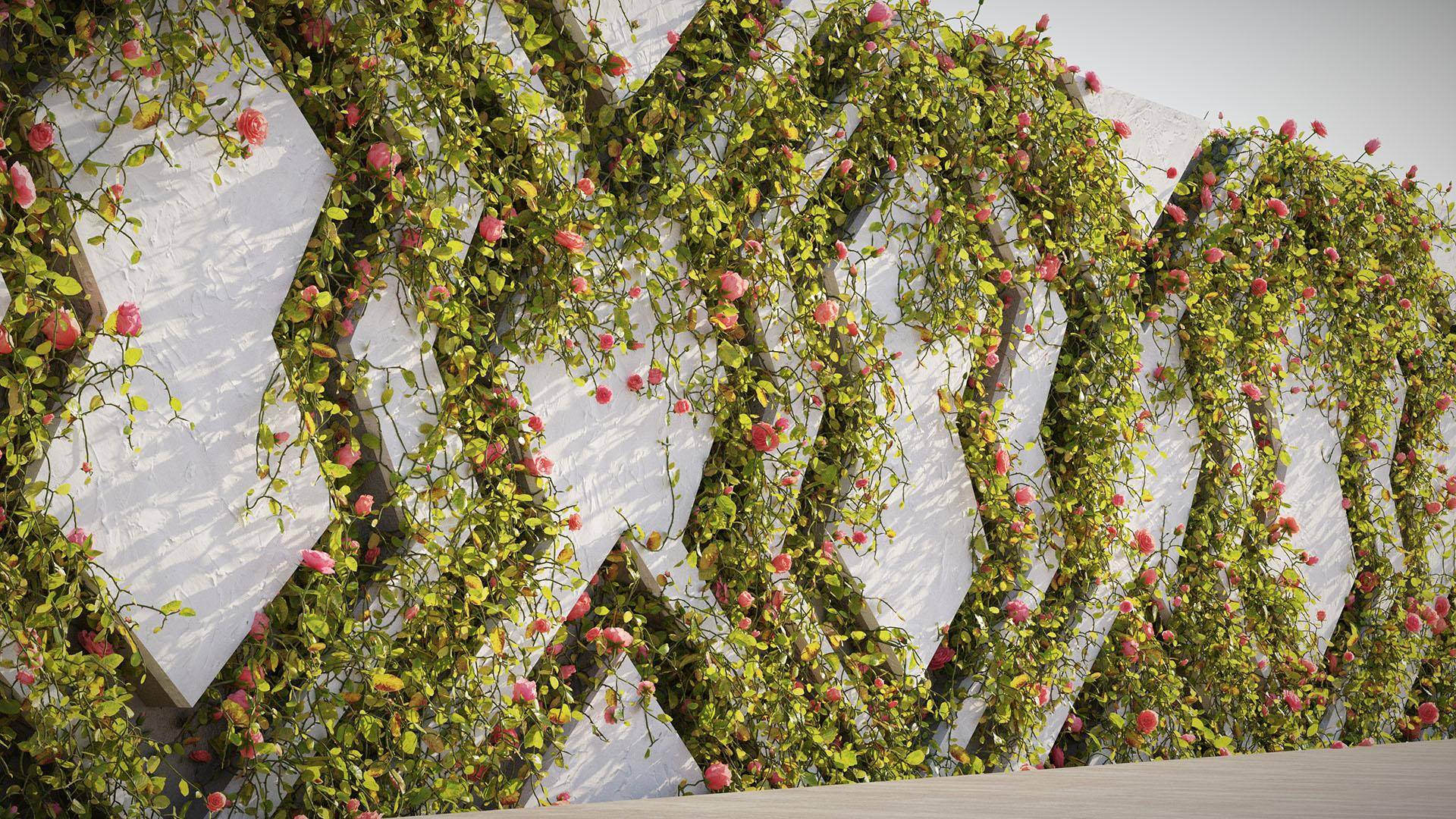 News - Forest Ivy Updates: New Features & Improvements for Better ...