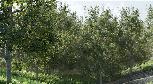 Tutorial - Randomising Procedural Objects