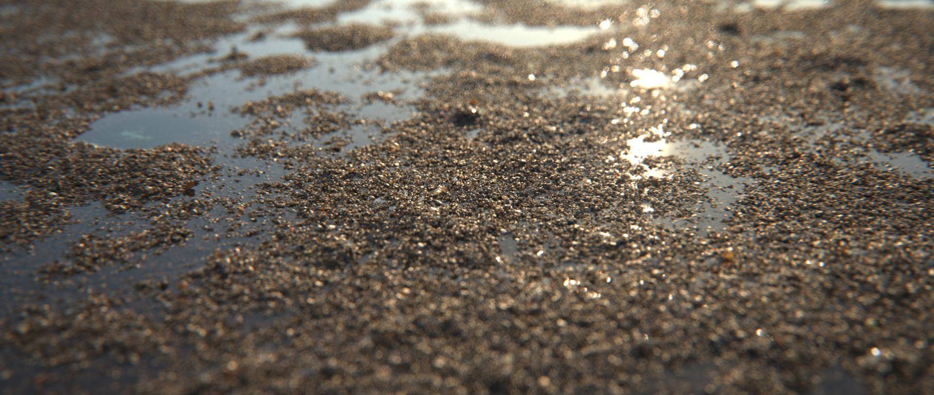 Tutorial - Creating detailed sand with Forest Pack