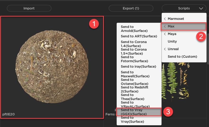 Tutorial - Using photo-scanned assets with Forest Pack