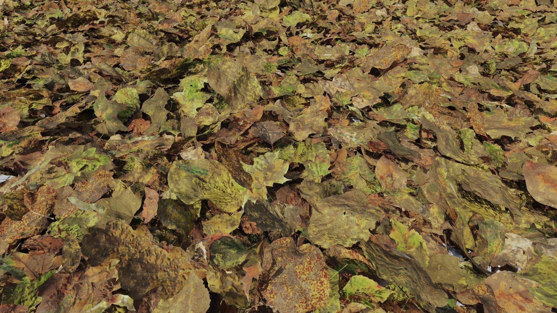 Tutorial - How to quickly add fallen leaves to your 3ds Max scenes