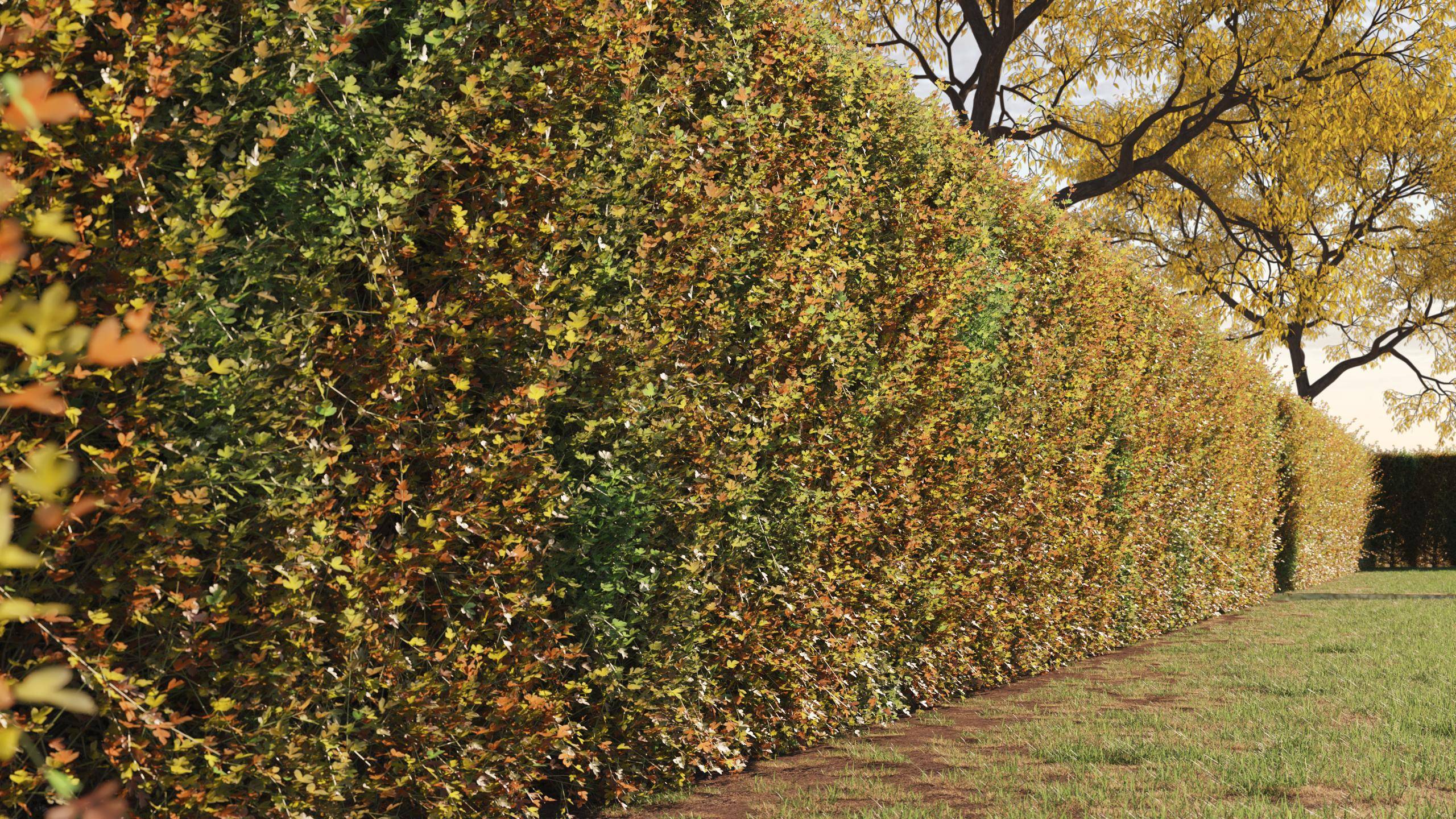 Tutorial - Revamp your assets! Transform existing 3D plants with ...